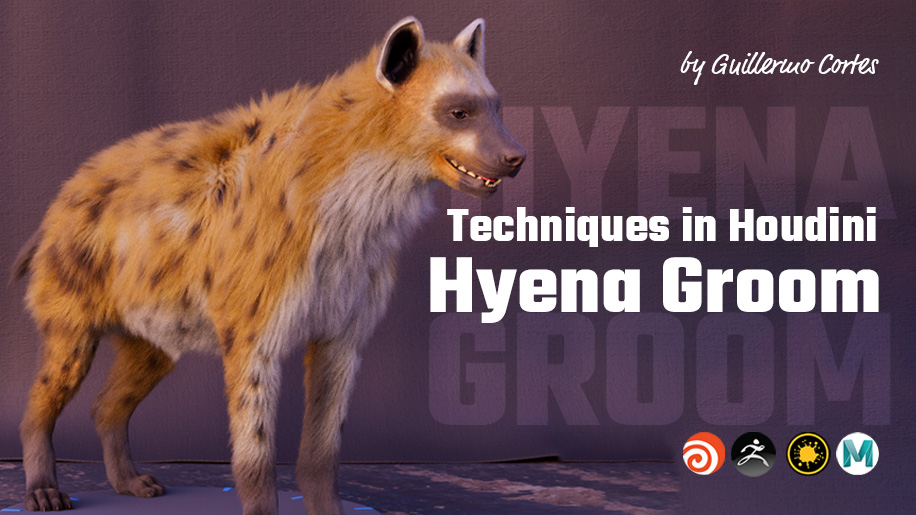 wingfox|Hyena Groom Techniques in Houdini_Yiihuu.cc