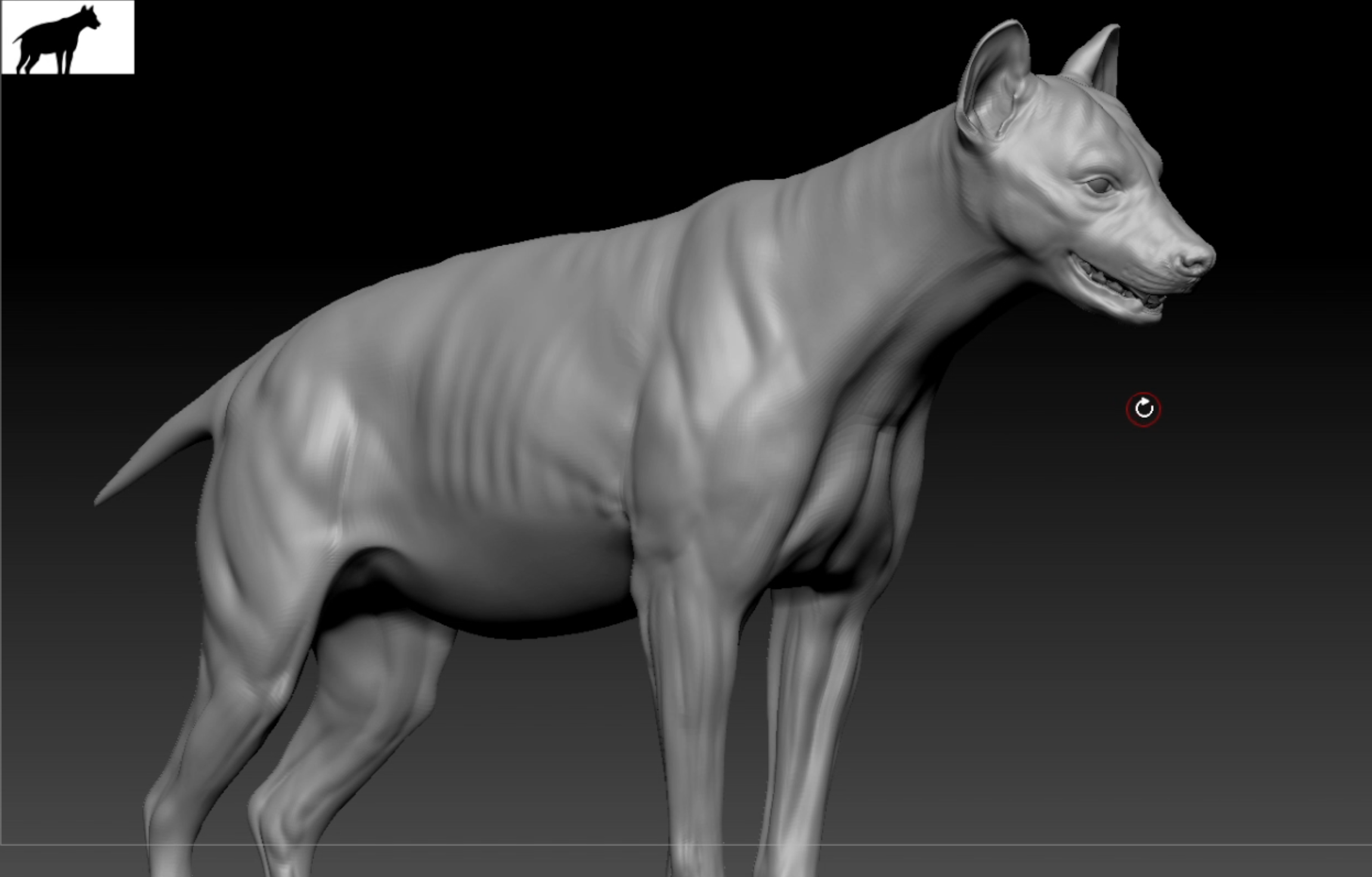 wingfox|Hyena Groom Techniques in Houdini_Yiihuu.cc